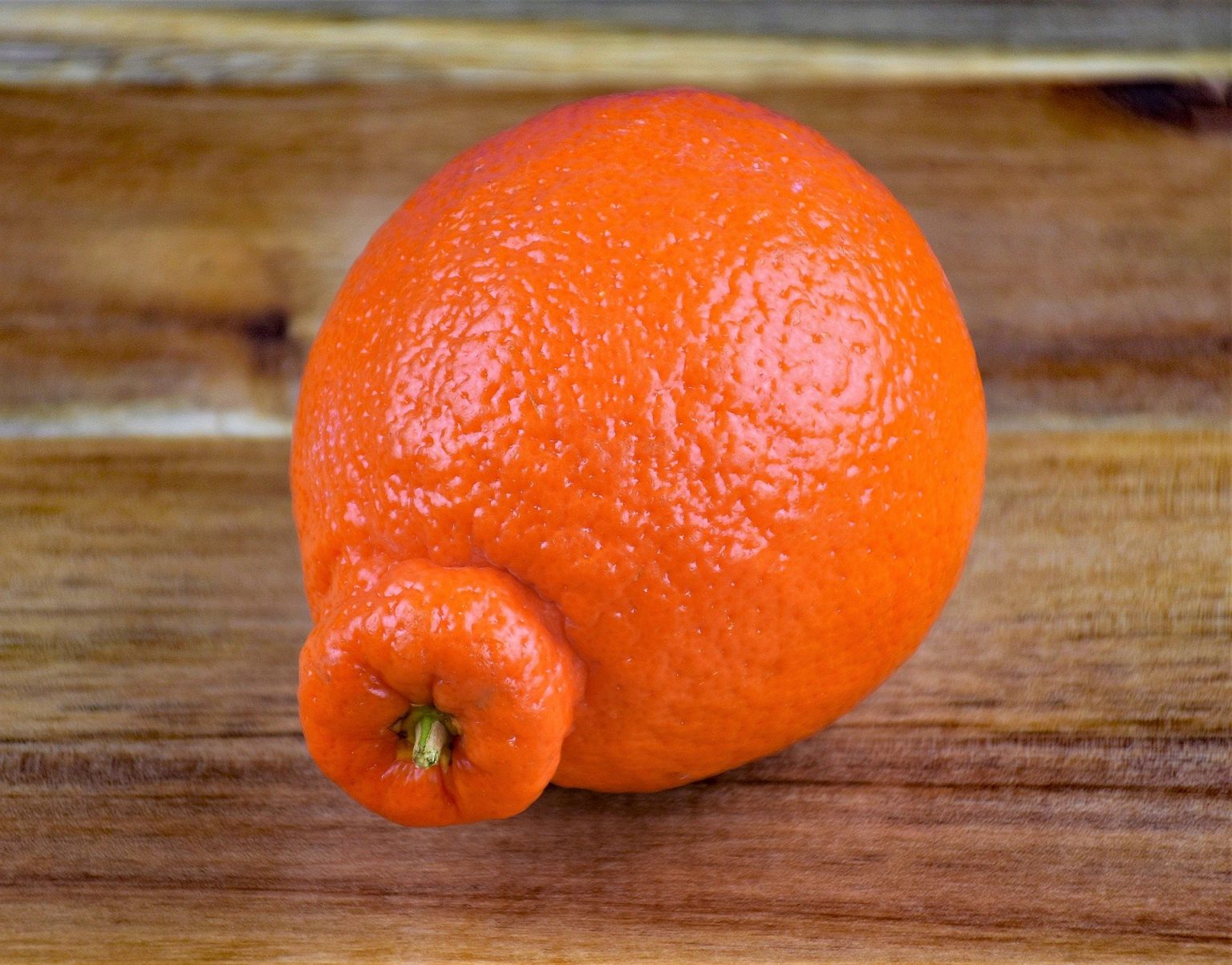 » How Much Fruit Does A Tangelo Tree Produce?