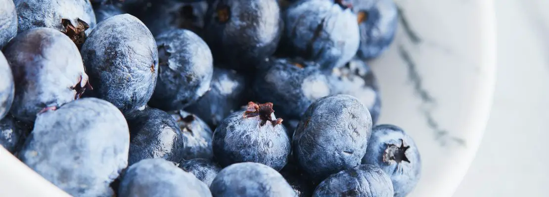 Blueberry vs Blackberry: What Are The Differences? – Plan Your Patch