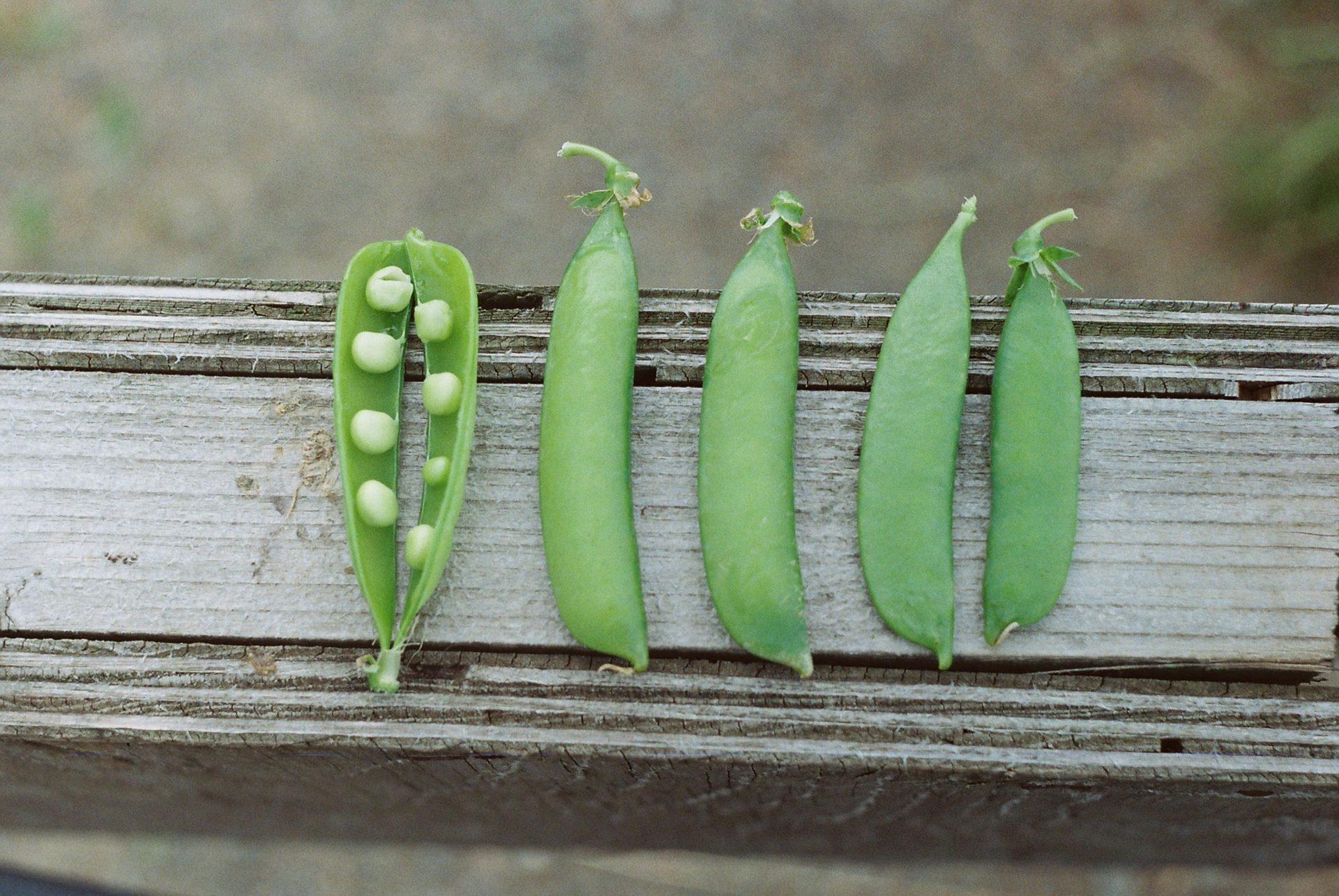 » How Many Peas In A Pod?